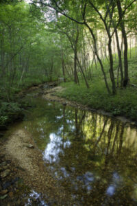 Missouri Land Trust Coalition - Protecting Land in Missouri